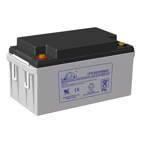 Buy Leoch 12 V 65 Ah Sealed Lead Acid Battery LP12 65 Online In India