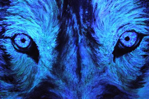 Thesis Never Cry Wolf Book Illustration On Behance