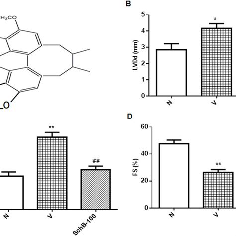 Sch B Suppressed Doxorubicin Induced Cardiac Functional Loss A
