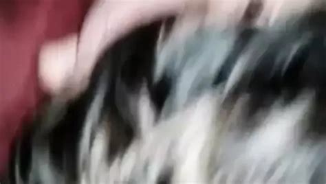 Free Goth Anal Porn Videos Xhamster