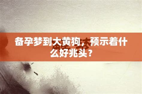 备孕梦到大黄狗，预示着什么好兆头？ 命理解梦