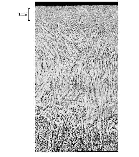 Dendrite Structures Near The Surface Of A Slab Cast At 50 Mmin By