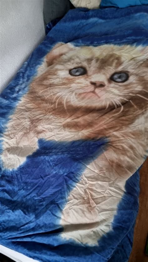 The Big Poo Bed Sheets Rapandah