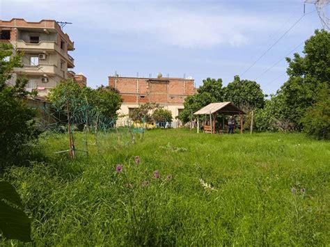 Vente Villa Boumerdes Boudouaou Boumerdès Algérie