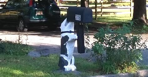 This Mailbox Imgur