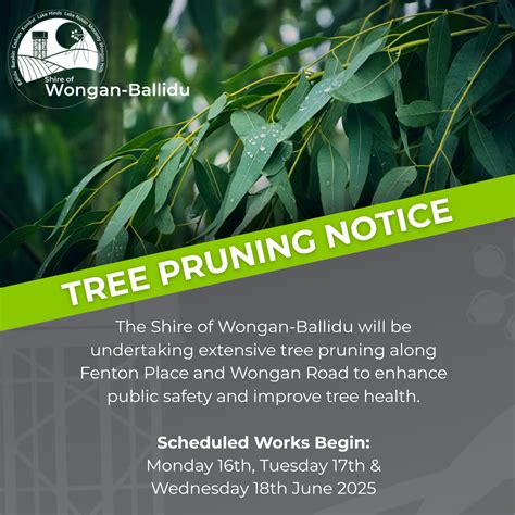 News Story Tree Pruning Notice Fenton Place And Wongan Road Shire