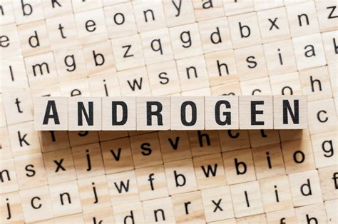How Do Androgens Affect The Human Body Ultracorepower