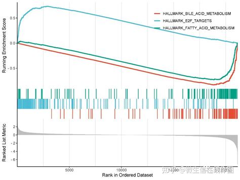 Clusterprofiler
