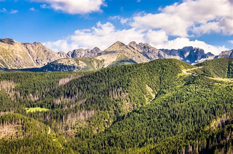 산 Tatras 여름 폴란드 Nosal의 위에서 Tatras의 보기에서 아름 다운 파노라마 폴란드어 휴가 자 코 파 네 폴란드