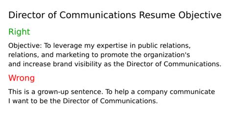 Top Director Of Communications Resume Objective Examples