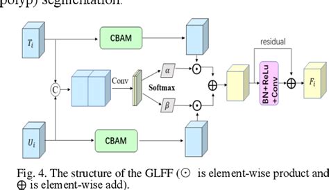 Cooperation Learning Enhanced Colonic Polyp Segmentation Based On Transformer Cnn Fusion