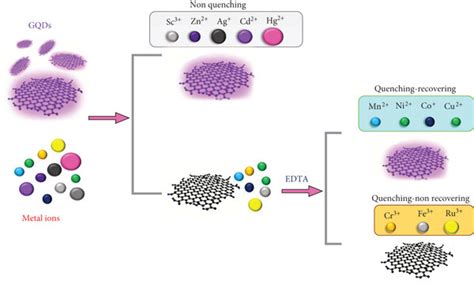 Diagram Illustration Of Various Transition Metal Ions And Their