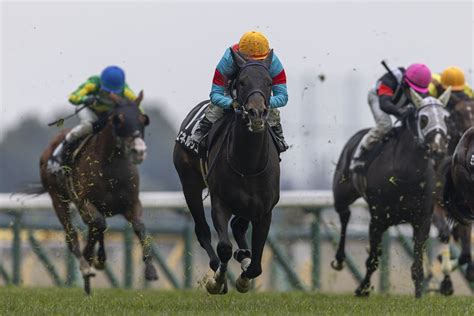 【セントポーリア賞】エネルジコがデビュー2連勝出遅れも関係なし（競馬のおはなし） Yahooニュース