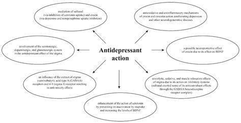 Current Knowledge Of The Antidepressant Activity Of Chemical Compounds From Crocus Sativus L