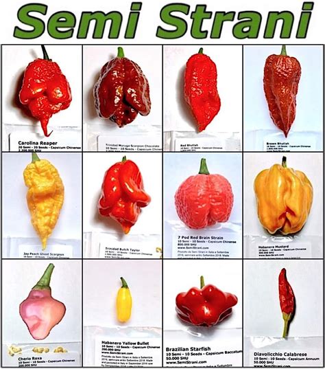 The Worlds Hottest Peppers 120 Seeds Pepper Johnny S