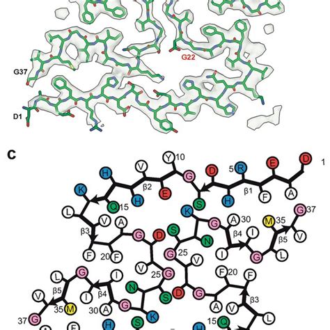 Phf Tau Filaments From Case Aβpparc1 A Cross Sections Of Tau Filaments
