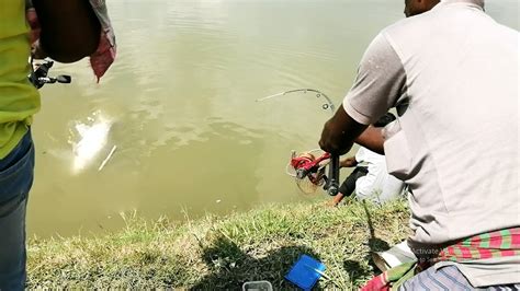 Best Hook Fishing Big Rui Fish Hunting By Using Fishing Rod Best