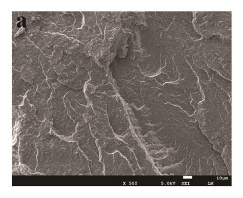 Fractured Surface Micrographs Of RPP And Its Composites A B