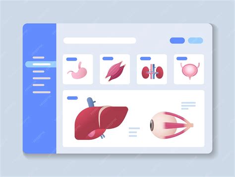 디지털 화면 해부학 의학 과학 건강 관리 개념에 설정된 해부학 적 인체 내부 장기 설정 프리미엄 벡터