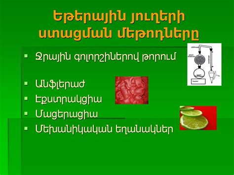 Տերպենոիդներ Իզոպրենոիդներ պարունակող դեղաբույսեր եվ հումք