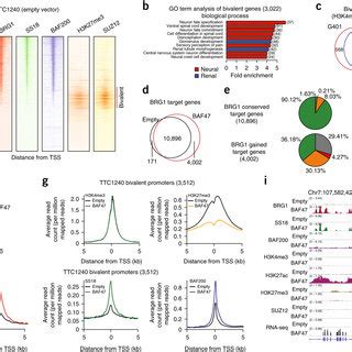 Rescue Of BAF47 Drives A Genome Wide Gain In BAF Complex Chromatin Download Scientific Diagram
