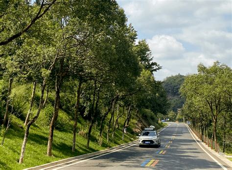 绿水青山惹人醉 武夷山国家公园1号风景道实力“圈粉”引来八方游客文化福建省历史