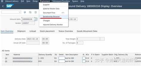 Sap Mm Relationship Browser Ii
