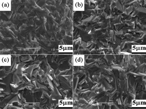 The Sem Images On The Cross Section Surface For A Sbn B Sbln10