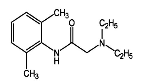 Exam 3 Lec 5 Pt 1 Flashcards Quizlet