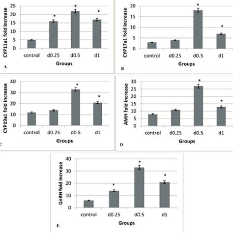 The Effect Of Various Concentrations Of 3d Sodium Alginate Scaffolds