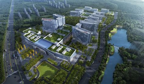 岳阳市中心医院2025年度人员招聘公告