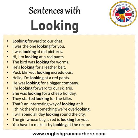 Sentences With Looking Looking In A Sentence In English Sentences For