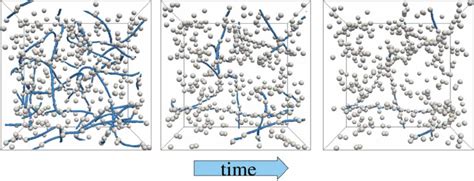 Example Of The Time Evolution Of The Dynamics Of A Colloidal Download Scientific Diagram