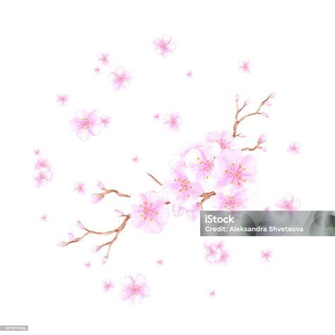 손으로 그린 수채화 벚꽃 꽃다발 라운드 라벨 리스 프레임 테두리 흰색 배경에 고립 벽지 엽서 앨범 스크랩북 및 기타 인쇄 제품에 사용할 수 있습니다 0명에 대한 스톡 벡터