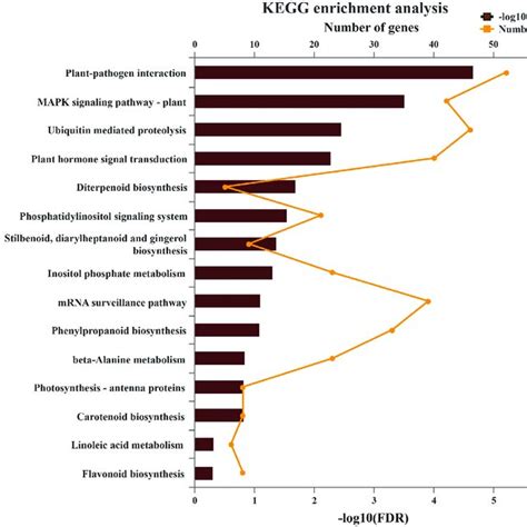 Predicted Secondary Structure Of Precursors Mfold Of A Few Specific Download Scientific