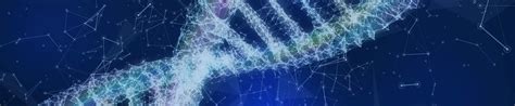 High Throughput Dna Quantification For Next Generation Sequencing On