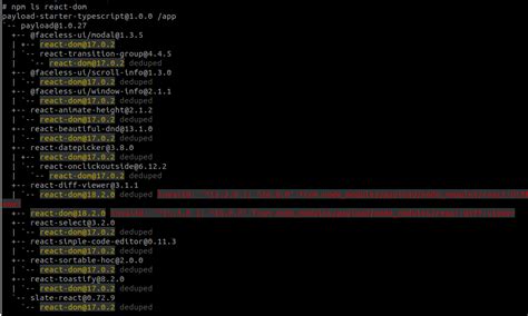 Broken Admin React Dom Initializes Twice · Issue 1171 · Payloadcms