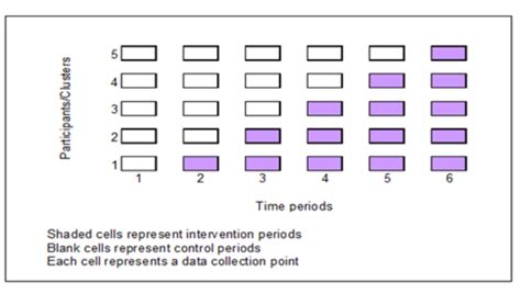program eval flashcards quizlet