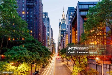 Trees Of New York City Photos And Premium High Res Pictures Getty Images