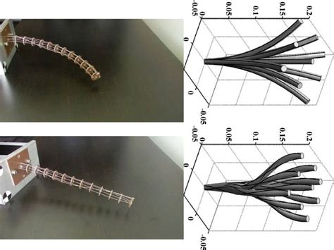 Bio Inspired Tendon Operated Continuum Robotics Robot Medical Robots
