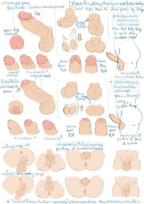 Rule 34 Anus Color English Text Foreskin Foreskin Folds Light Skinned Male Penis Simple