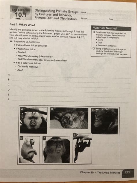 LAB EXERCISE Distinguishing Primate Groups Name Chegg Com