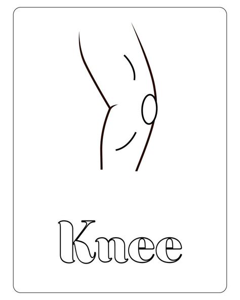 Human Body Coloring Pages Human Body Part Vector 27191737 Vector Art At Vecteezy