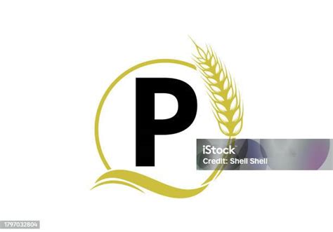 P 편지에 농업 밀 로고 농업 로고 디자인 서식 파일 음식 건강 한 영양 기호입니다 농업 사업 및 회사 아이덴티티를 위한 로고