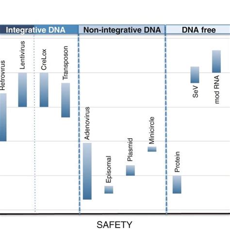 Sendai Virus Sev Vector Structure And Recombinant Infective Particle Download Scientific