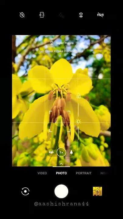 Macro Mode Works On Oneplus 7t Youtube
