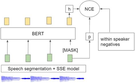 Our Method To Train A Bert Model On Sses Speech Is Segmented Into