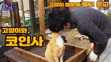 고양이와 코인사 고양이들 때문에 울고 웃는 일상 Youtube