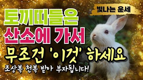 토끼띠 산소갈때 준비물🙏산소에 갈때 반드시 이것 지키십시오 ️조상님 산소 가서 절대 하면 안되는 행동👆납골당갈때 이것