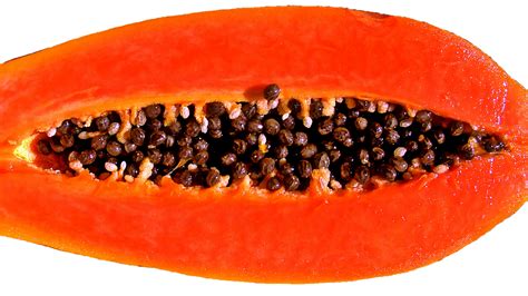 How To Get Rid From Fibroid And Cyst Medical Information And Health Advice Go Green